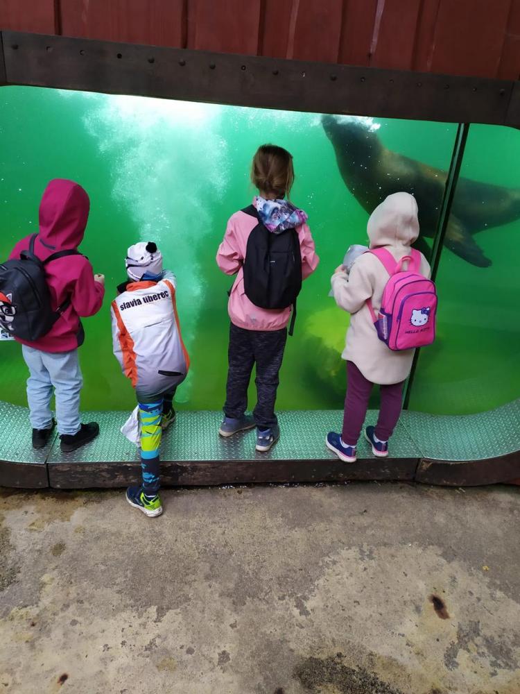 Den laskavosti - 1.D a orientační běh v ZOO